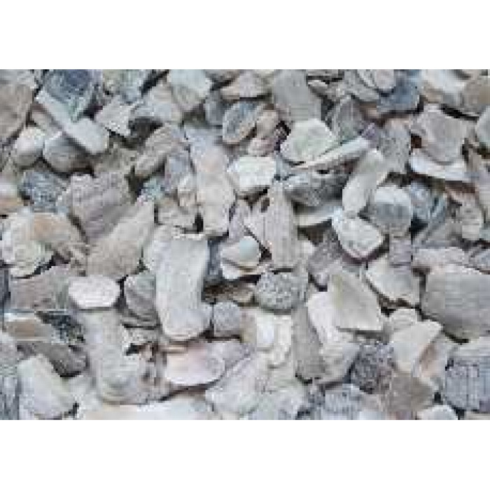 Oystershell - Coarse